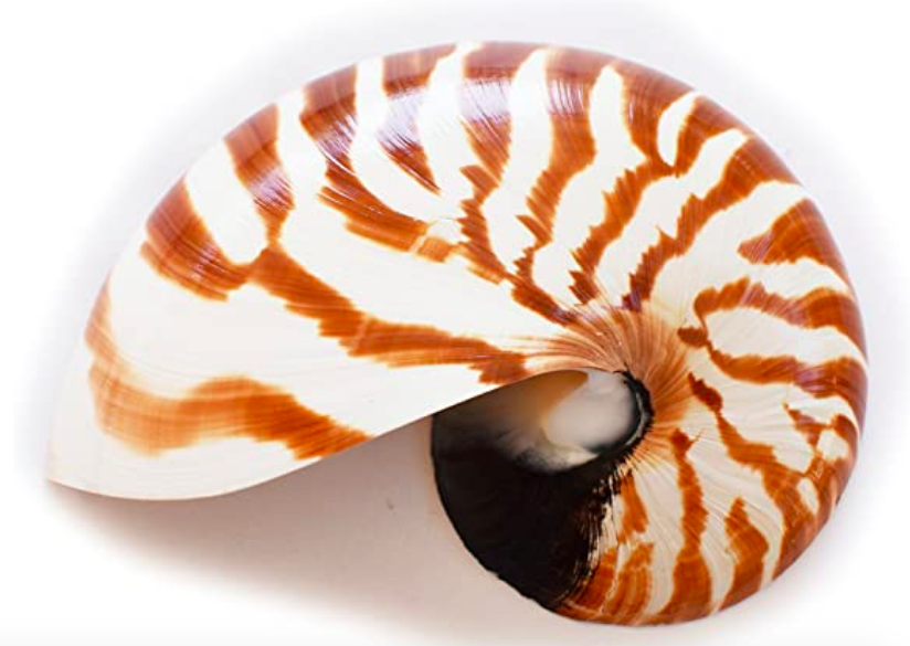 The Hidden Power of Symbols | Global Artists CoalitionArt, Education ...